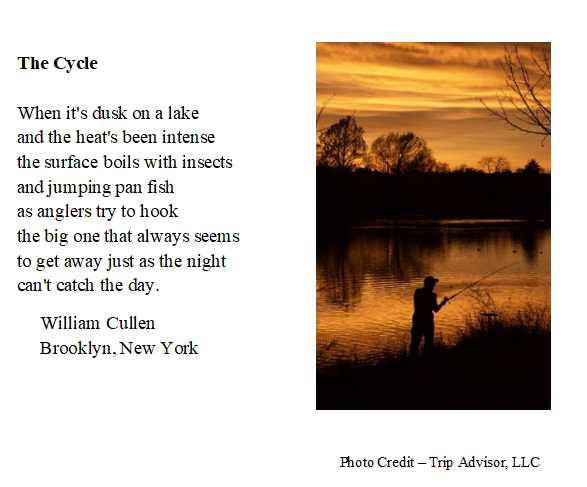 The Cycle – Third Wednesday Magazine