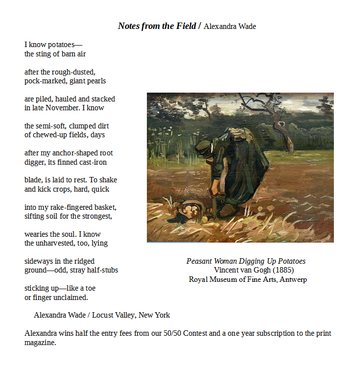 Notes From The Field / Alexandra Wade – Third Wednesday Magazine