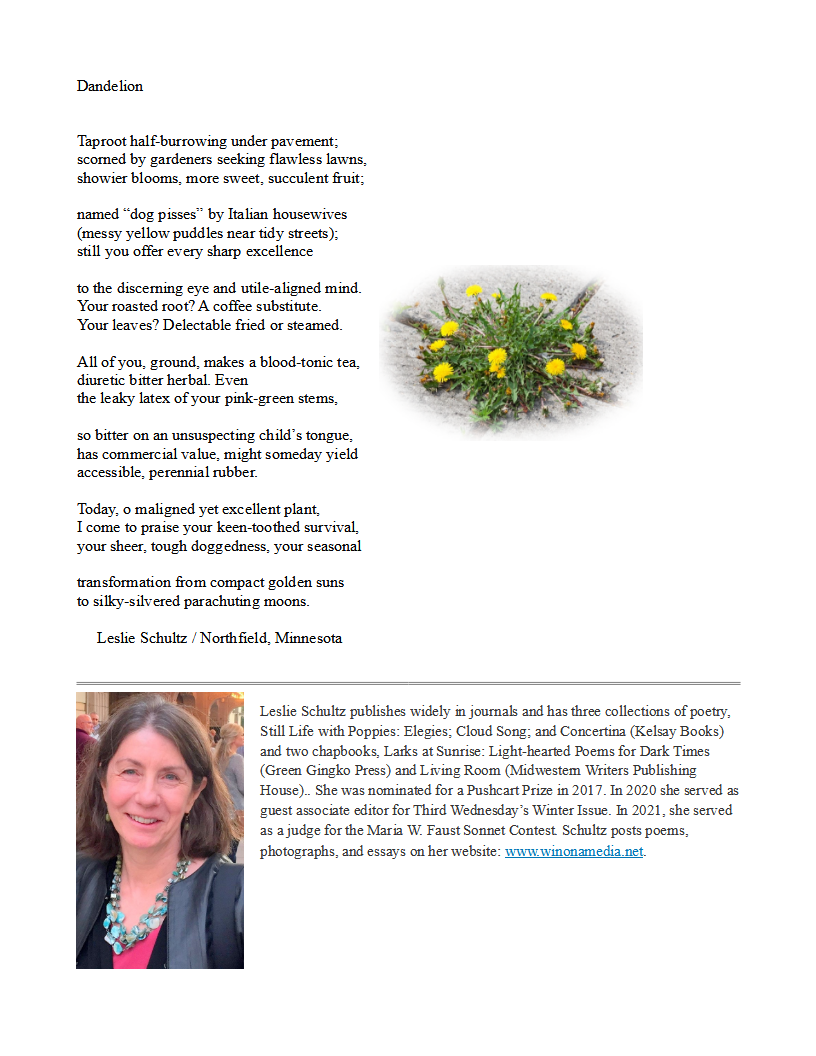 Dandelion / Leslie Schultz – Third Wednesday Magazine