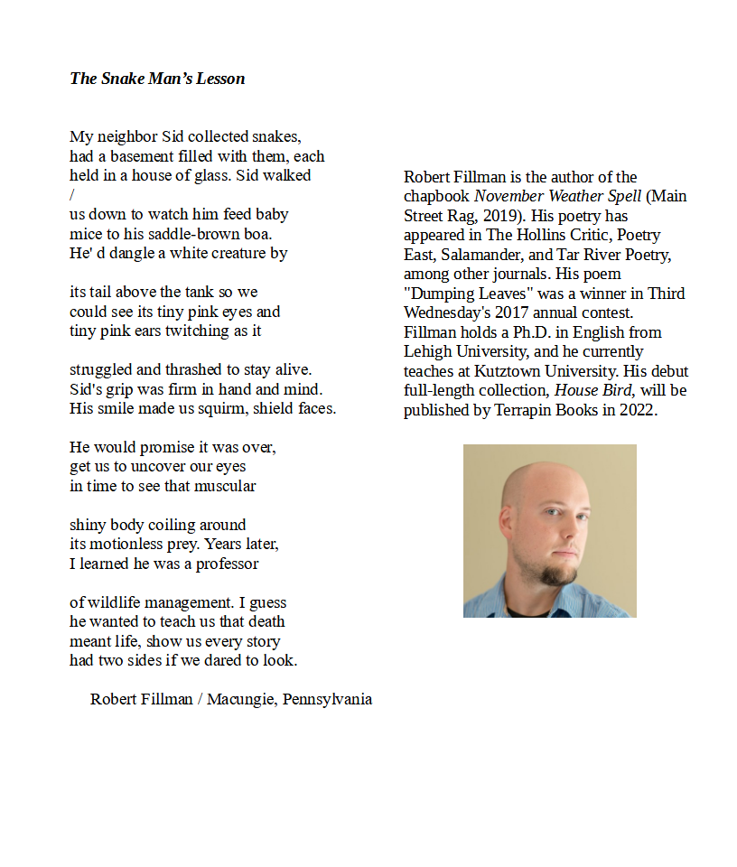 The Snake Man’s Lesson / Robert Fillman – Third Wednesday Magazine