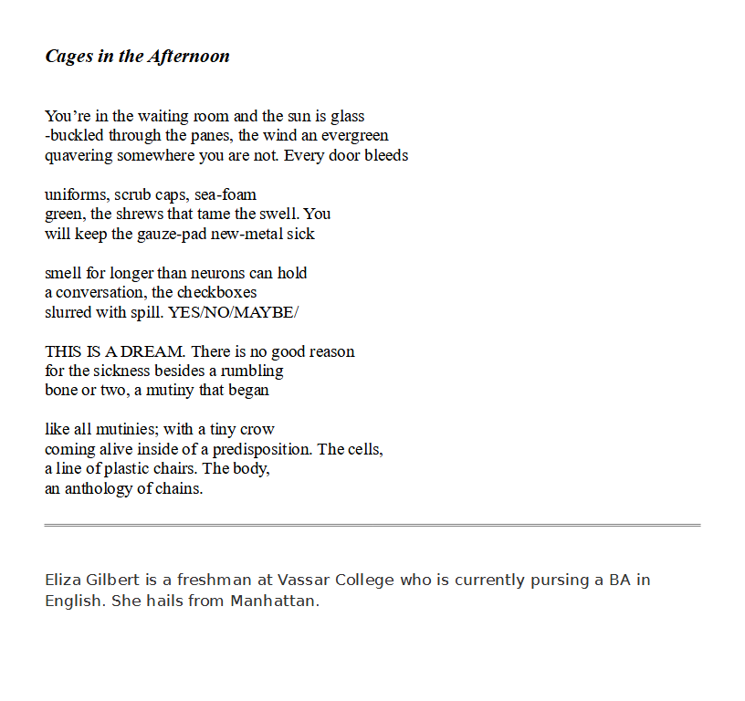 Cages in the Afternoon / Eliza Gilbert – Third Wednesday Magazine