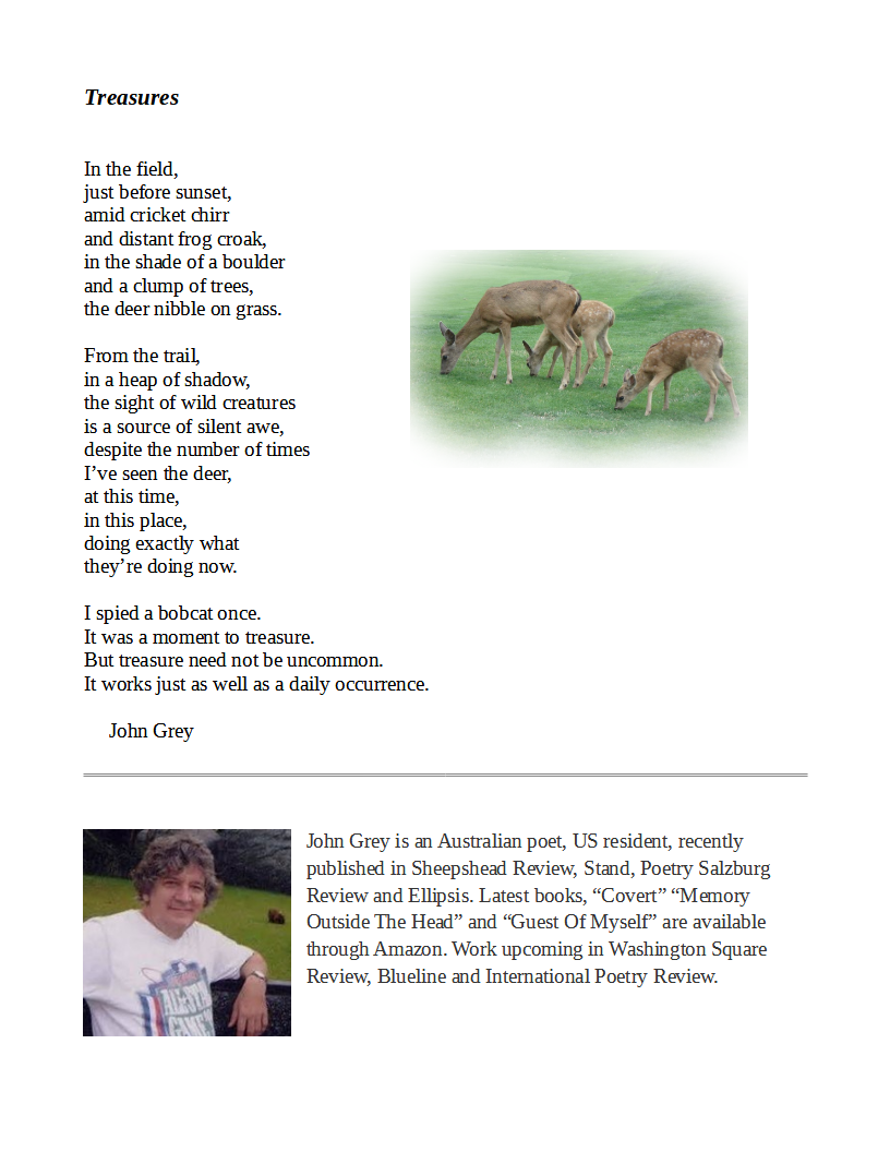 Treasures / John Grey – Third Wednesday Magazine