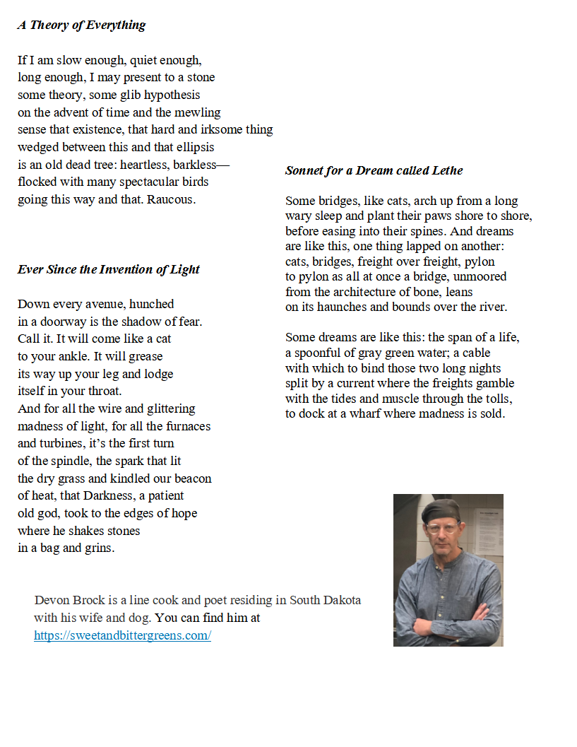 3 Poems by Devon Brock – Third Wednesday Magazine