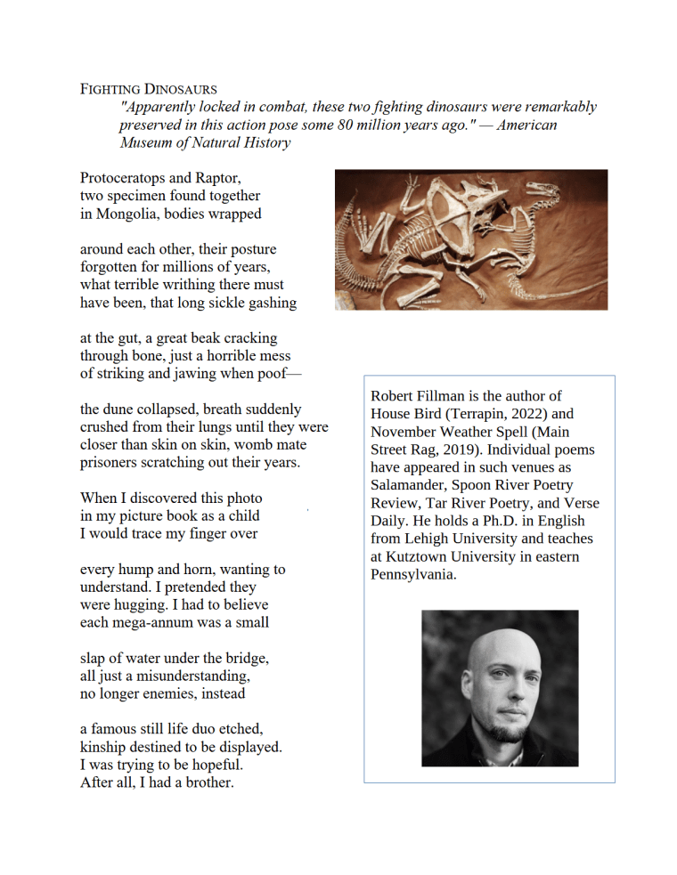 Fighting Dinosaurs / Robert Fillman – Third Wednesday Magazine