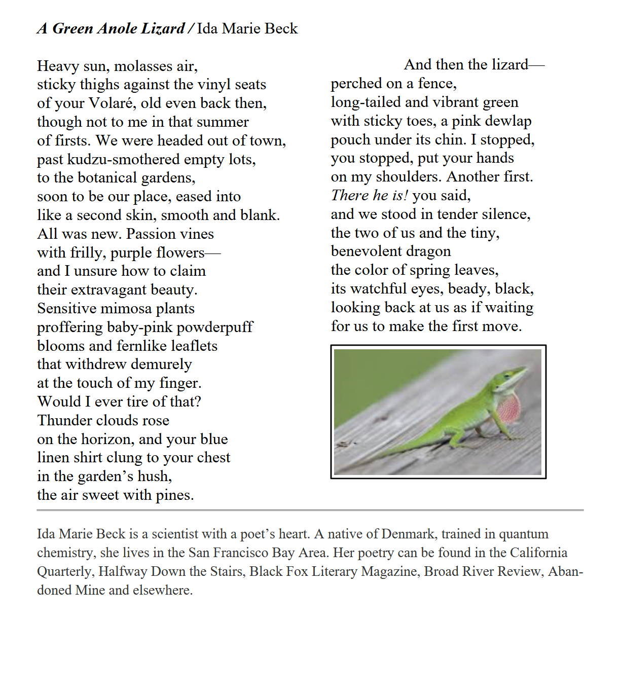 A Green Anole Lizard / Ida Marie Beck – Third Wednesday Magazine