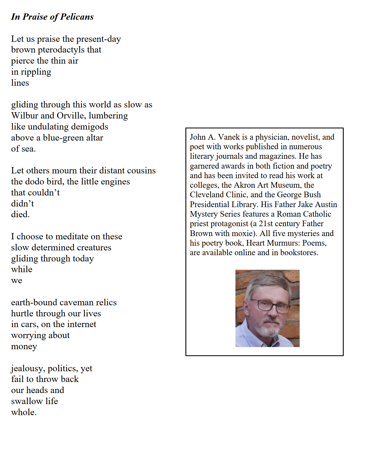 In Praise of Pelicans / John Vanek – Third Wednesday Magazine