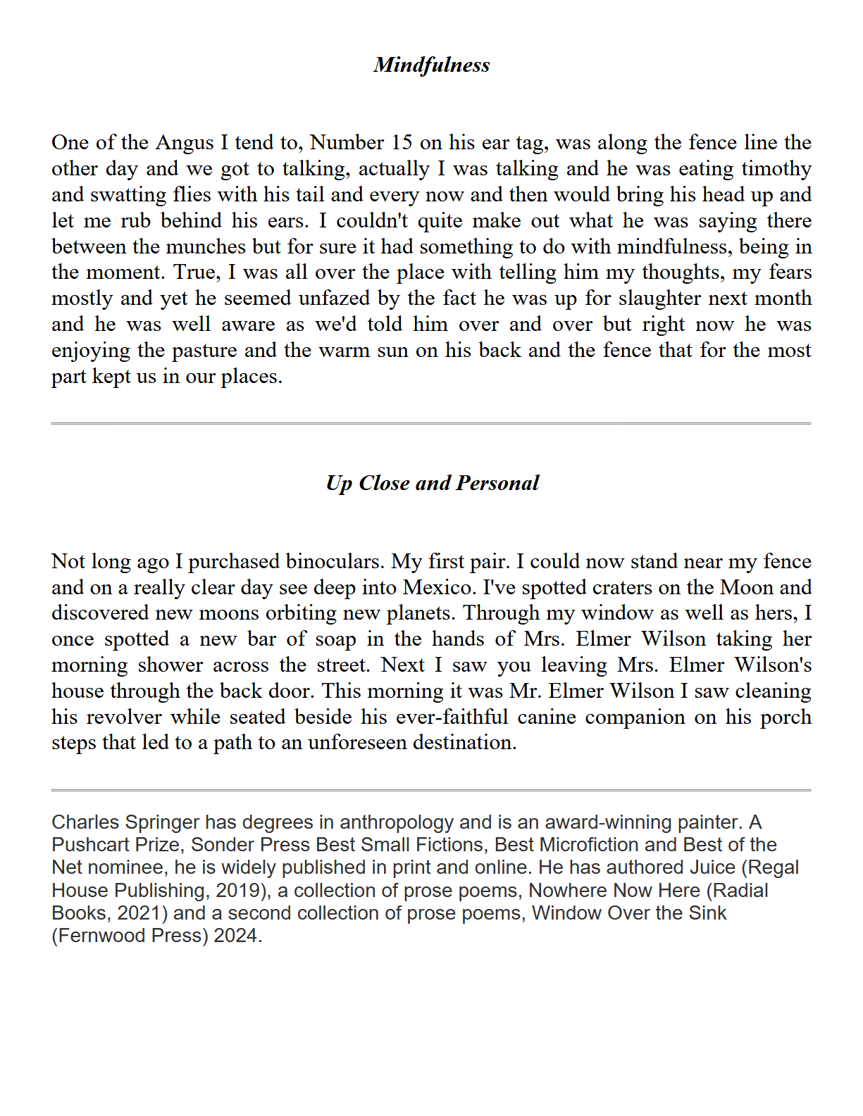 Two Poems by Charles Springer – Third Wednesday Magazine