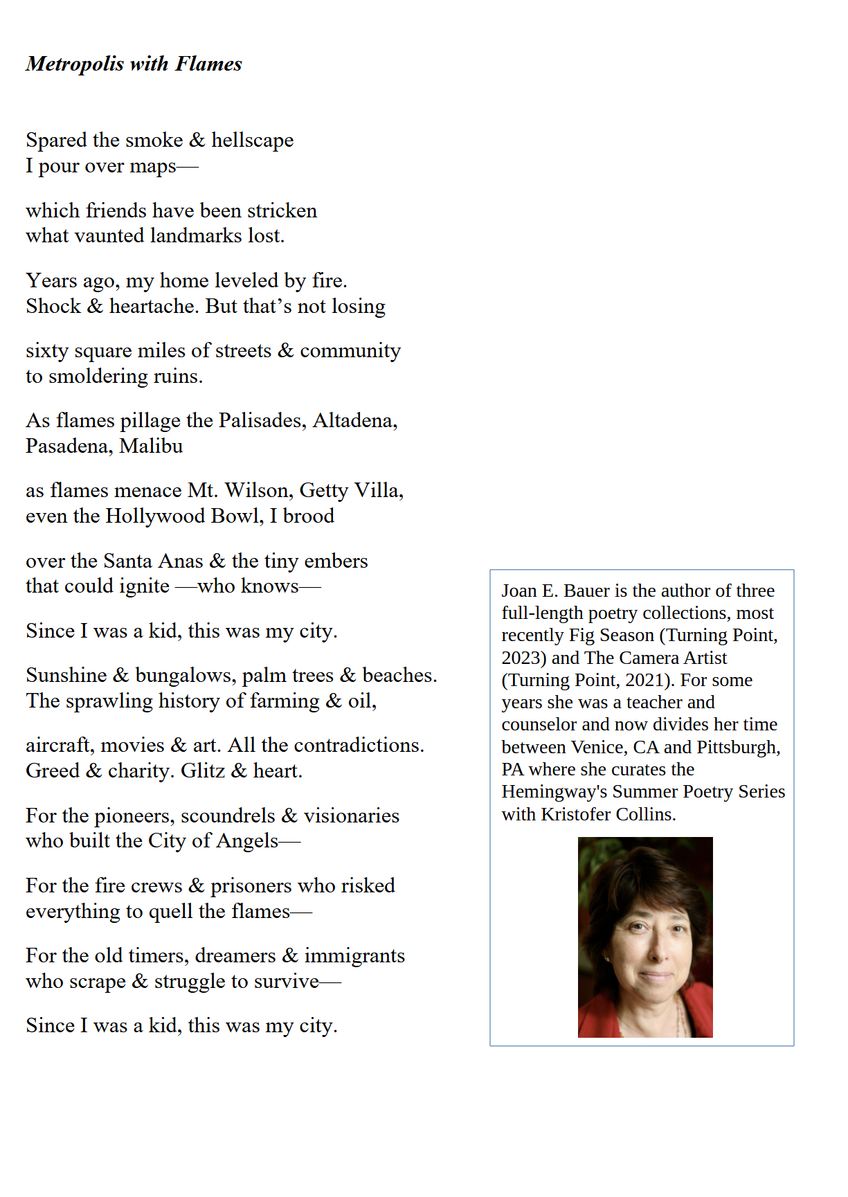Metropolis with Flames / Joan E. Bauer – Third Wednesday Magazine