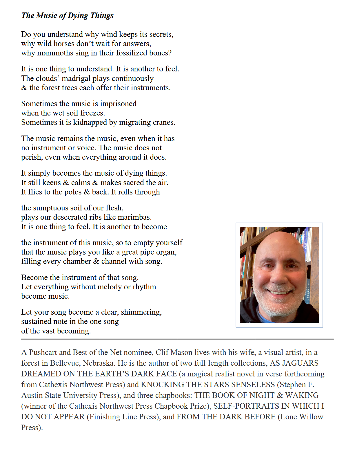 The Music of Dying Things / Clif Mason – Third Wednesday Magazine