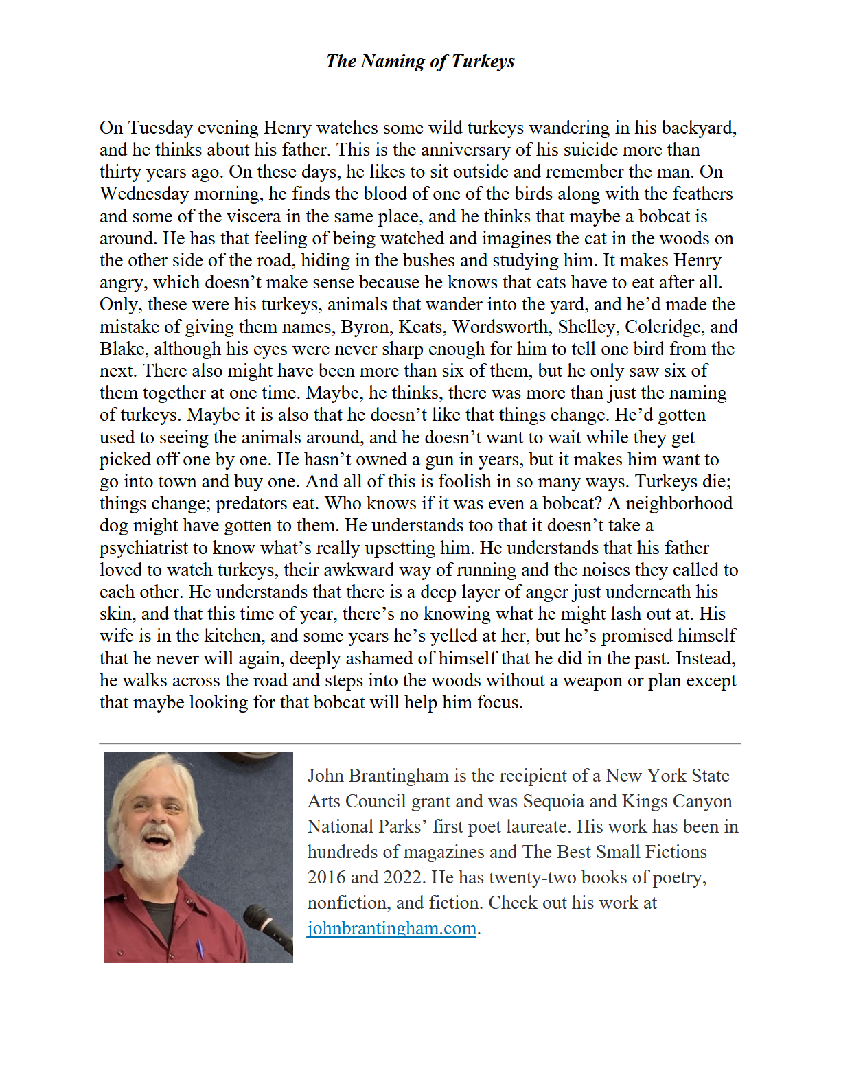The Naming of Turkeys / John Brantingham – Third Wednesday Magazine