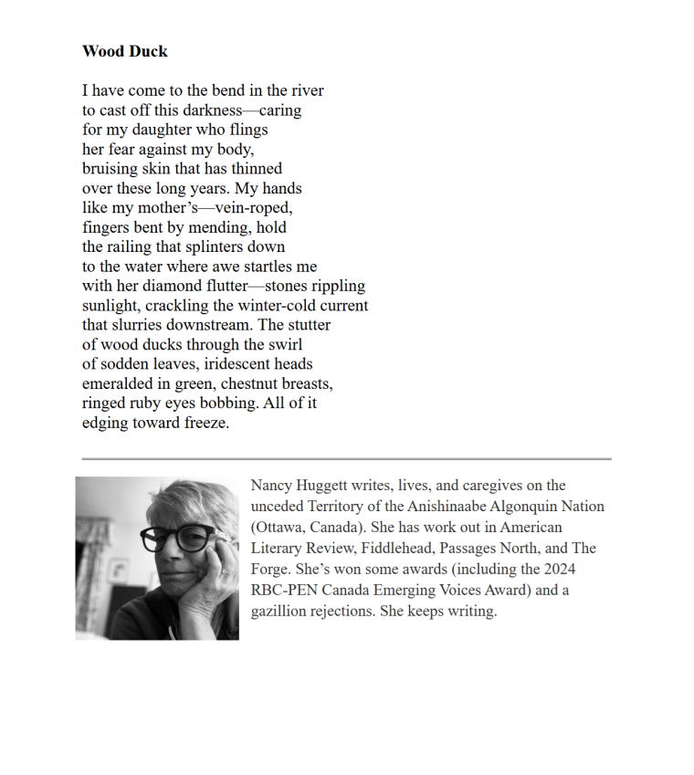 Wood Duck / Nancy Huggett – Third Wednesday Magazine