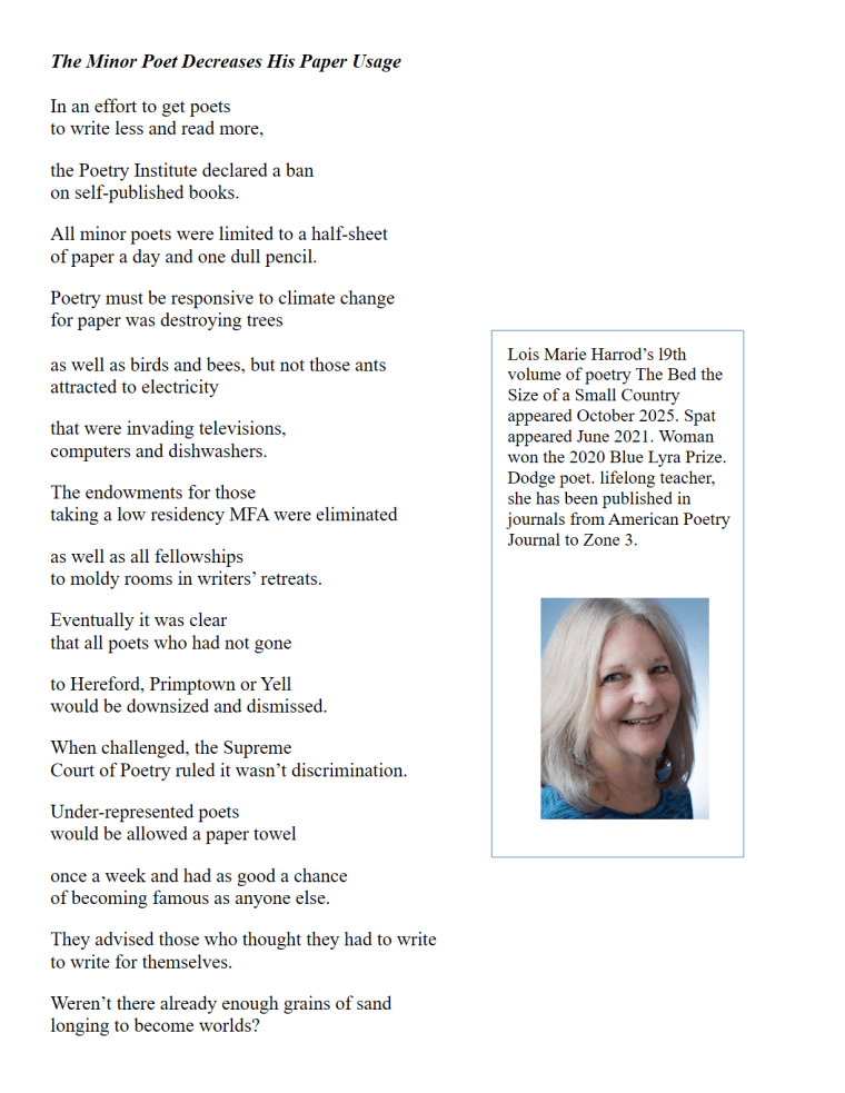 The Minor Poet Decreases His Paper Usage / Lois Harrod – Third ...