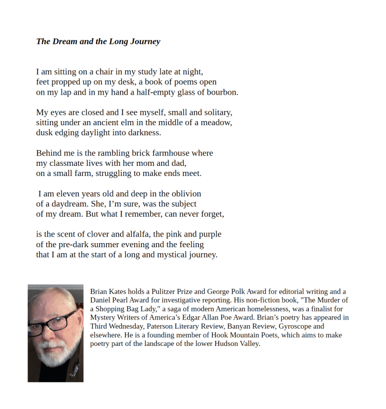 The Dream and the Long Journey / Brian Kates – Third Wednesday Magazine