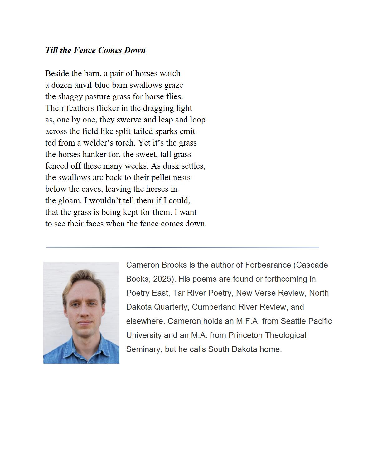 Till the Fence Comes Down / Cameron Brooks – Third Wednesday Magazine