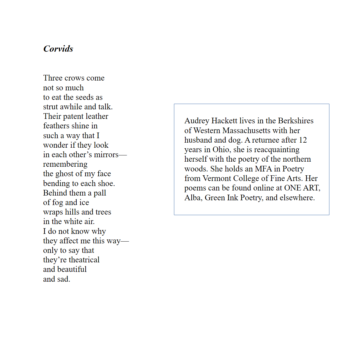 Corvids / Audrey Hackett – Third Wednesday Magazine