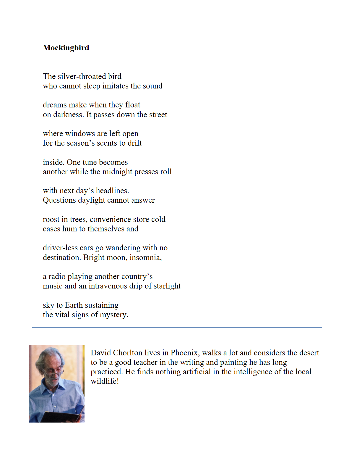 Mockingbird / David Chorlton – Third Wednesday Magazine